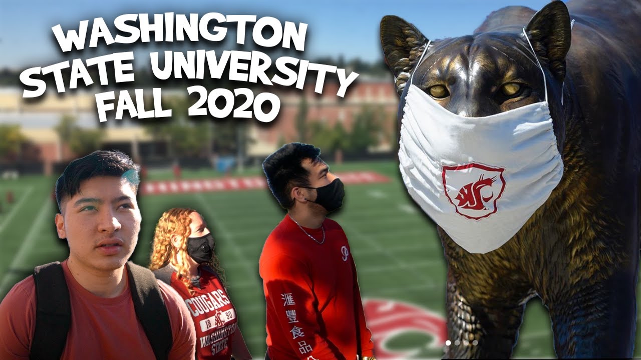 What's it Like Inside Washington State University | Pullman, WA Campus ...