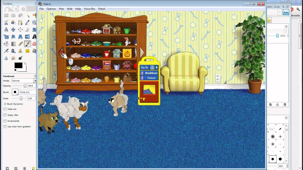 catz 6 3m 2012 - YouTube