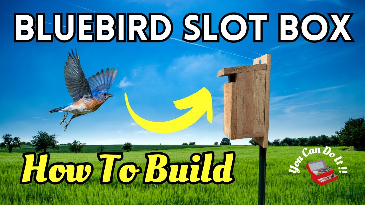 How To Build A Slot Bluebird Nesting Box - YouTube