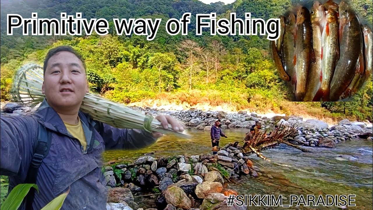 Primitive Way of Fishing || Limboo || Tribal || Singpheng_Countryside ...