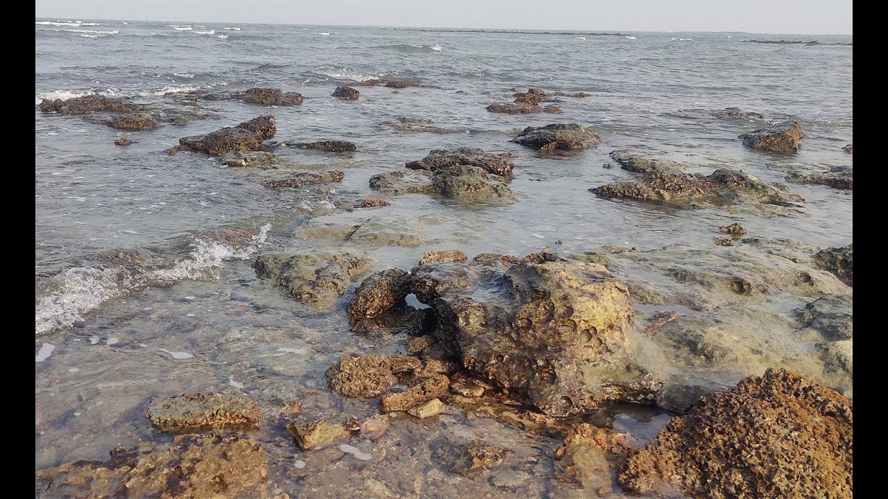 beauty of nature and gift of nature.It is coral island, the large coral ...