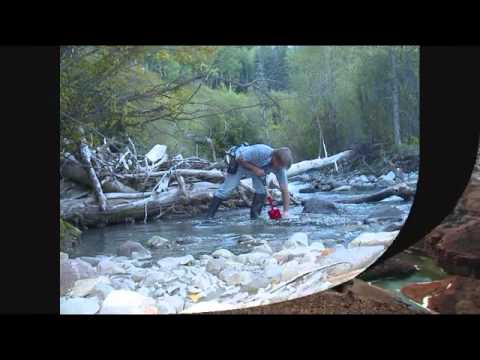 Eldorado Gene Rivers of Gold Gene Ralph The Miner's Song Gold ...