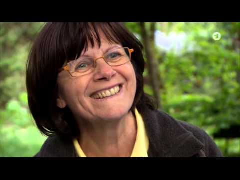 Video Der Nestlé Check 1 Montags Check im Ersten ARD - YouTube