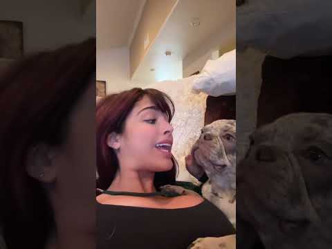 #shorts #tiktok #tiktoktrend @malutrevejo