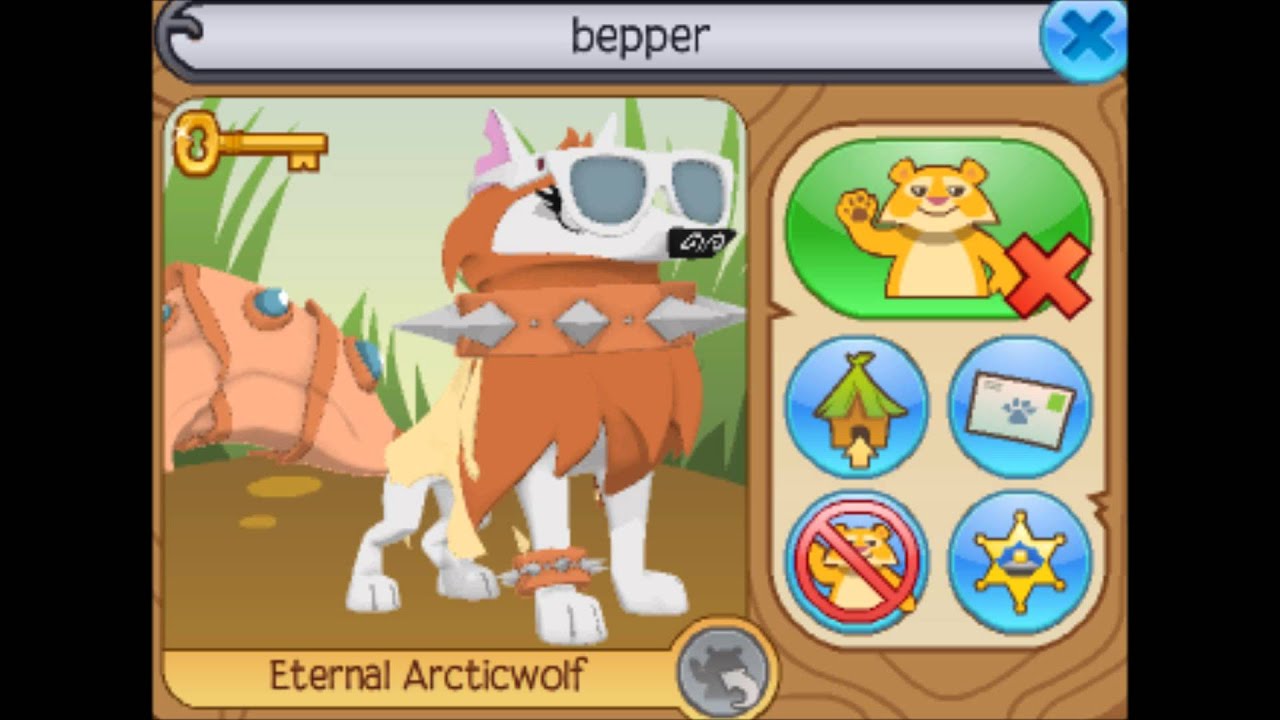 Animal Jam: AJ Awards! *Closed*Please*No*More*Comments* - YouTube