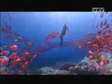 ANTV Djarum Black