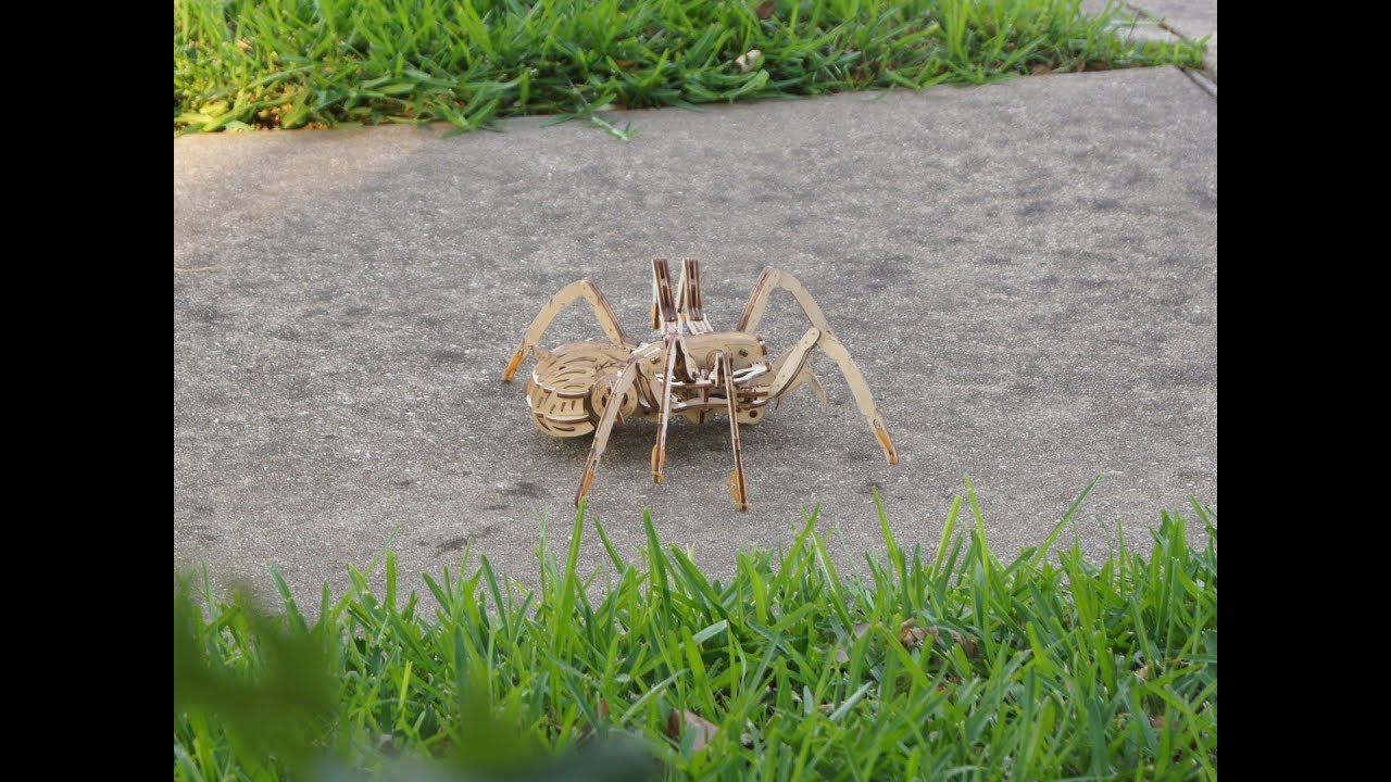 Spider Takes a Walk - YouTube