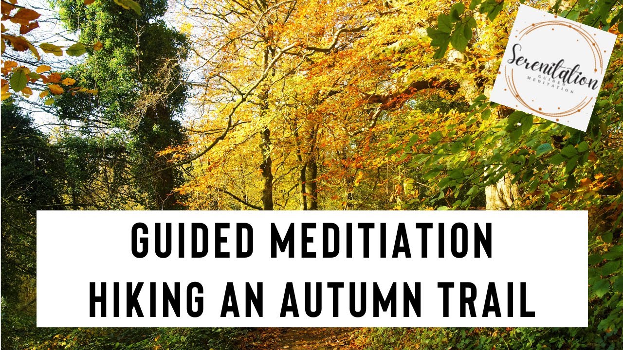 Autumn Nature Trail Guided Meditation 🍁 Journey Through Fall's Vibrant ...