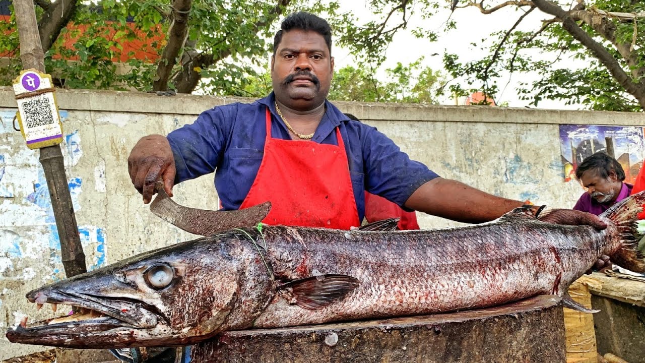 KASIMEDU 🔥 SPEED SELVAM | HUGE BARRACUDA FISH CUTTING VIDEO | 4K VIDEO ...
