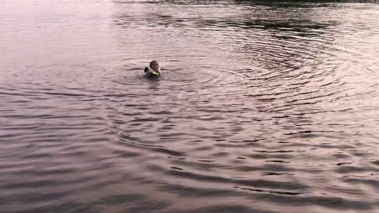 Emma in the Lake - YouTube