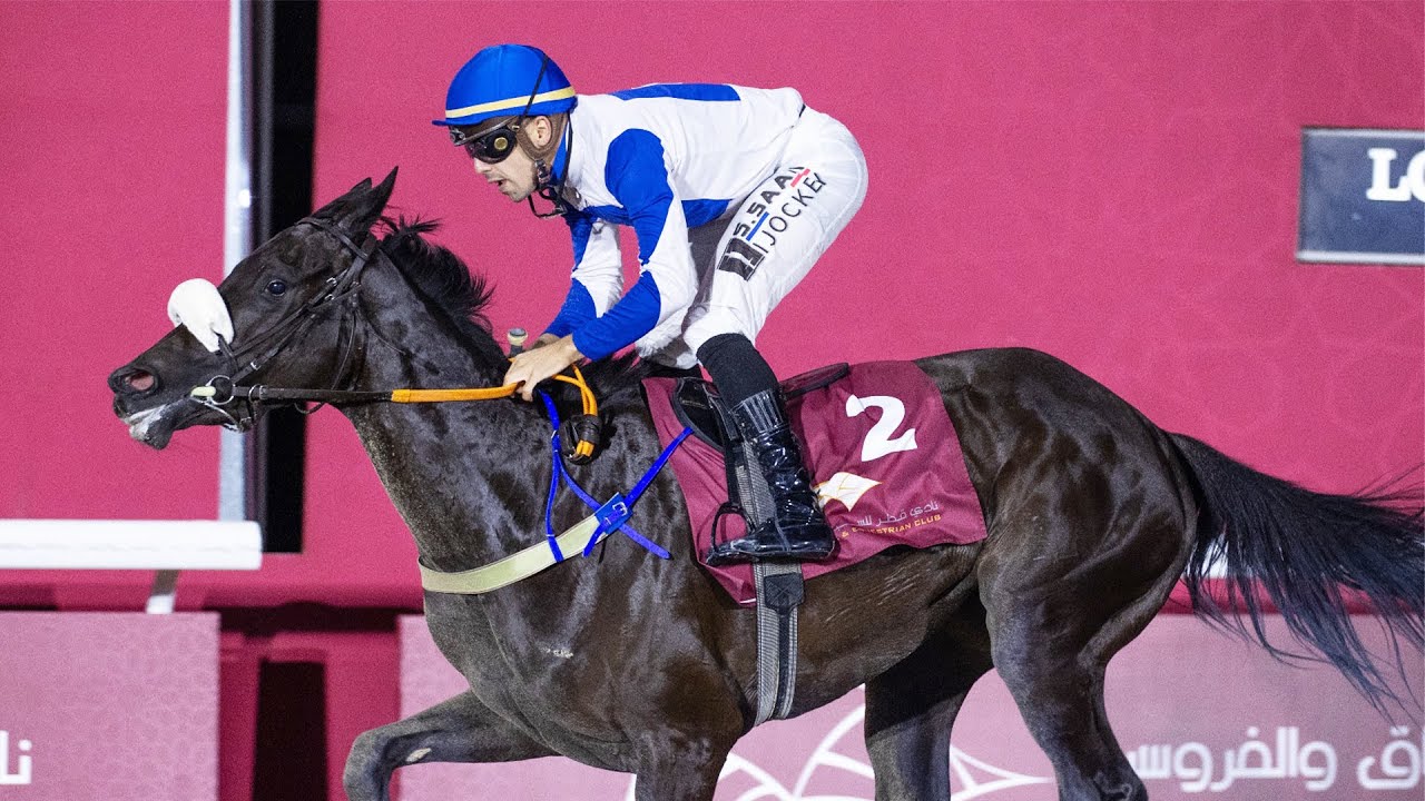 RM 19 Al Uqda Race 1 - Ras Al Noof Cup - YouTube