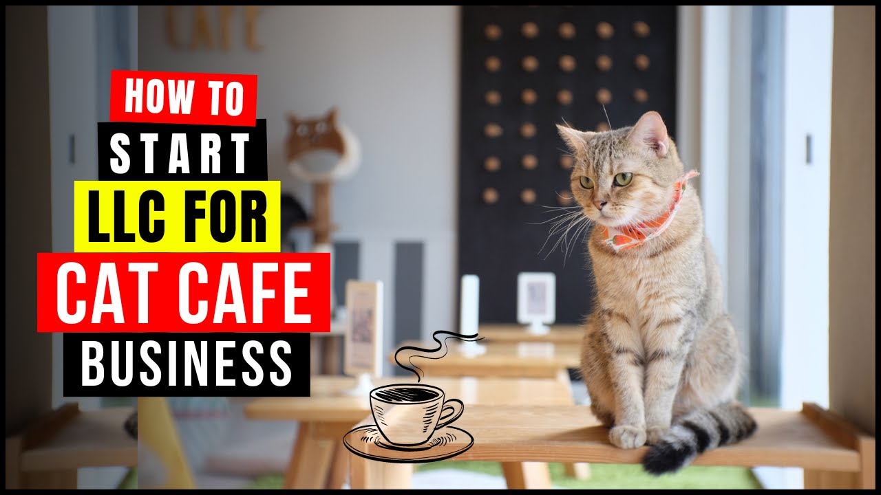 How To Start a Cat Café Business | Register Your LLC for Opening a Cat ...