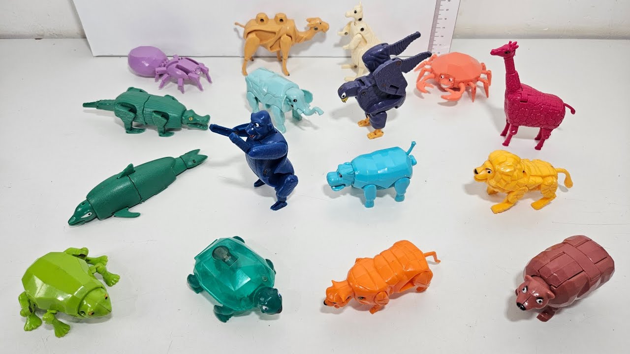 Coleção completa Rock Animal Recreio - 16 Pedras/animais - YouTube