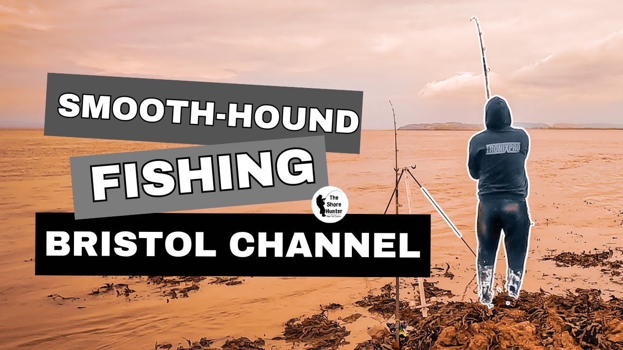 Smooth-Hound Fishing the Bristol Channel. Using the Dongle Rig 🎣 - YouTube
