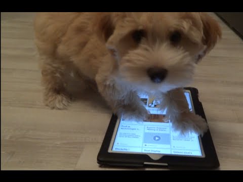 Ultimate iPad screen scratch test - YouTube