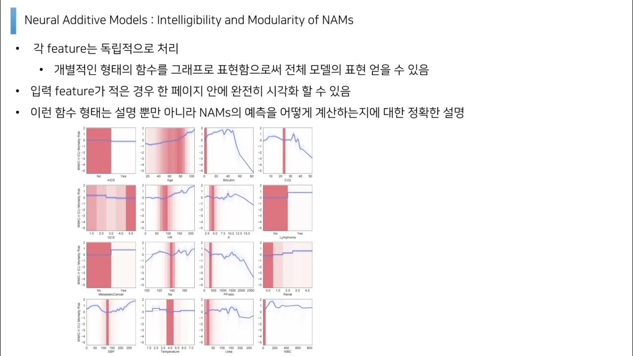 [DS Interface] Neural Additive Models: Interpretable Machine Learning with Neural Nets - YouTube
