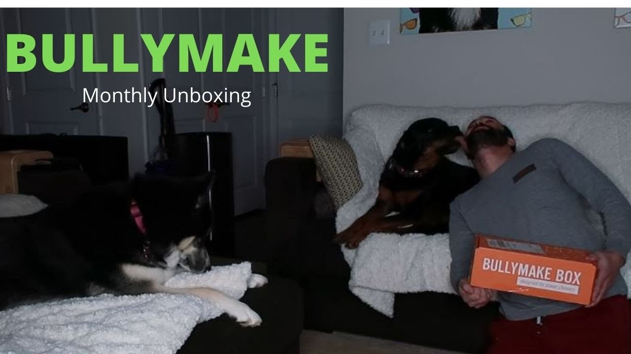 BULLYMAKE Box | Large Dog | January 2021 | Unboxing - YouTube