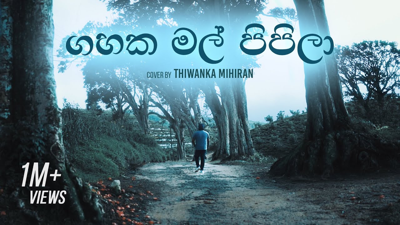 Gahaka Mal Pipila | ගහක මල් පිපිලා - Cover by Thiwanka Mihiran Chords ...