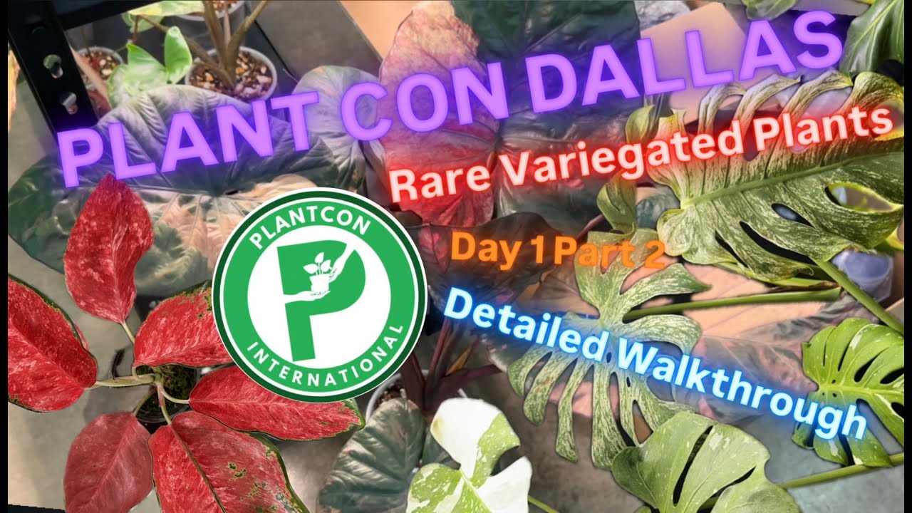 Plant Con Dallas 2025 Detailed Walkthrough Day 1 Part 2 Rare and ...