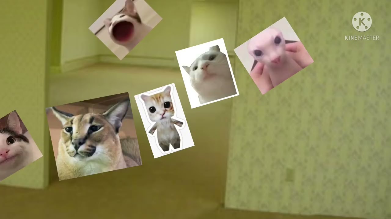 Big Floppa Episodes: Cat Gang In The Backrooms - YouTube