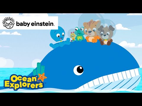 Counting Mama & Baby Whales ⓵②⓷| Ocean Explorers Compilation | Baby Einstein | Kids Learning Cartoon