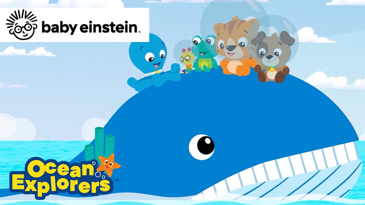 Counting Mama & Baby Whales ⓵②⓷| Ocean Explorers Compilation | Baby ...