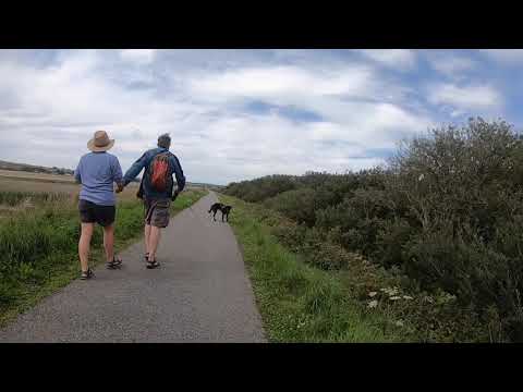 Niwbwrch i'r Iard - YouTube