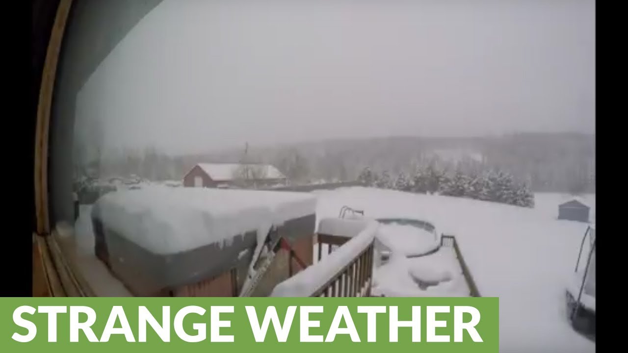 Time lapse captures 21 hour snow storm in New Hampshire - YouTube