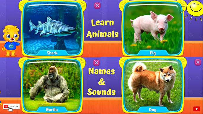 English Worksheets Animal Sounds Flashcards Set 1