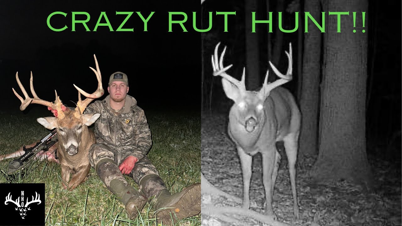 Self Filmed Ohio Bowhunt During The Rut #deer #youtube #bowhunting # ...