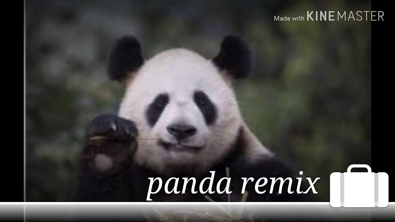 Panda remix - YouTube