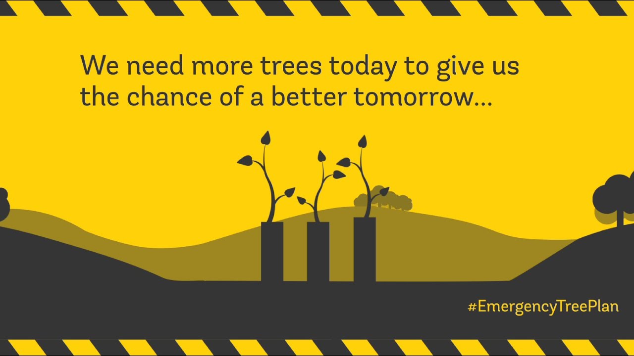 Emergency Tree Plan | Woodland Trust - YouTube