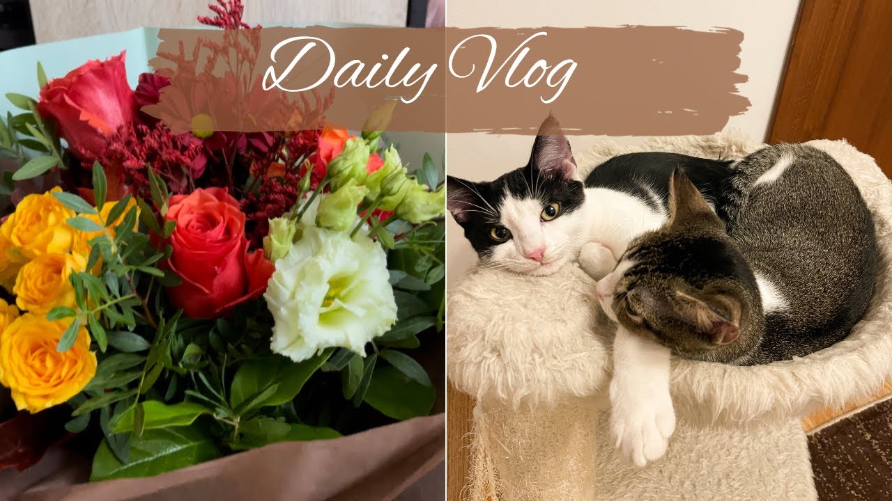 Daily Vlog | Cumparaturi alimentare din Lidl | Weekend Vlog🍁, New in ...