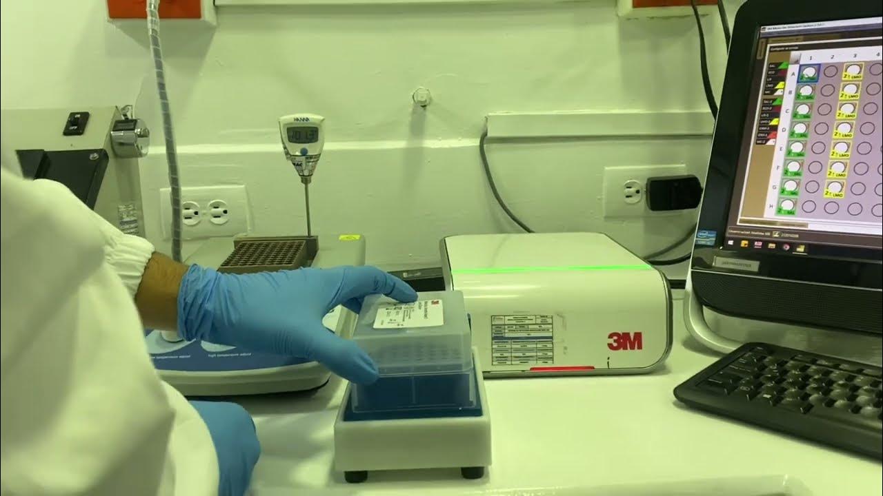 MDS, Sistema de Detección Molecular,Equipo 3M™ - YouTube