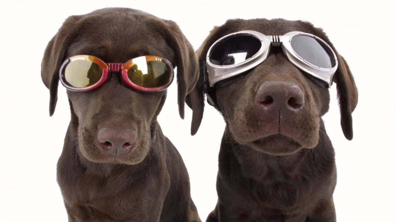 10 Ridiculous Inventions That Made Millions - YouTube