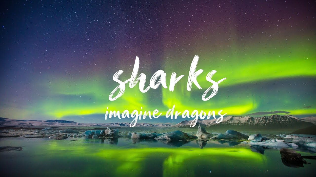 Imagine Dragons- Sharks (lyrics) - YouTube