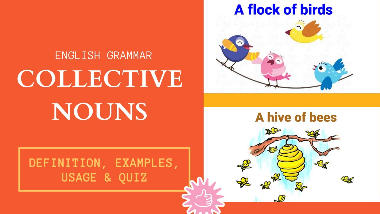 Collective Nouns | Definition | Examples and Usage | English Grammar ...