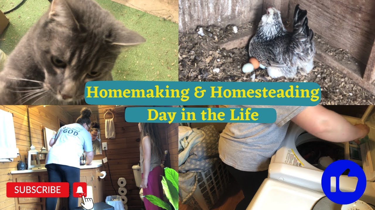 Homemaking & Homesteading Day in the Life - YouTube