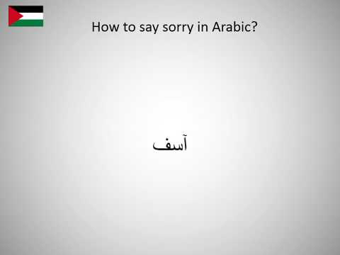 How to say sorry in Arabic? - YouTube