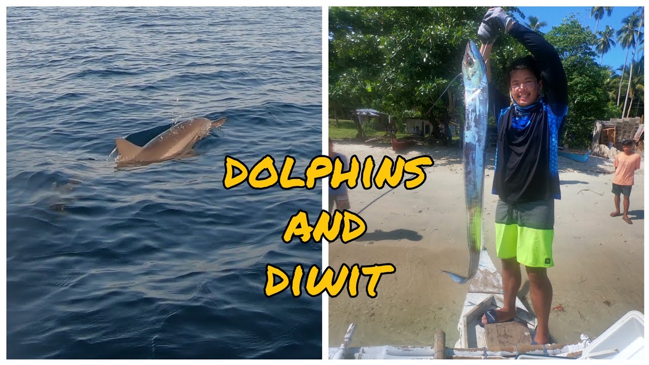 Fishing in the Philippines: Dolphins and Diwit! - YouTube
