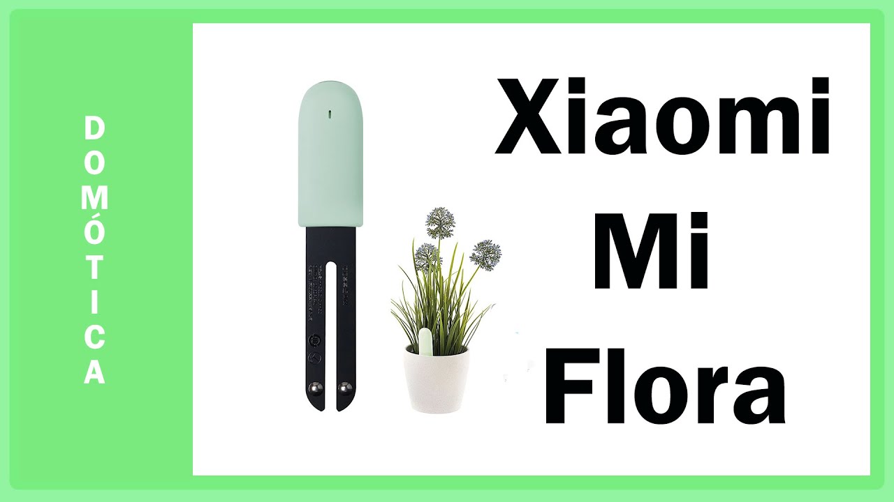 Instalar Xiaomi Mi Flora monitor - YouTube