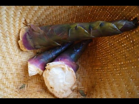 Usoi Mangan Utti | Super Healthy Oil-less Manipuri Bamboo shoot dish ...