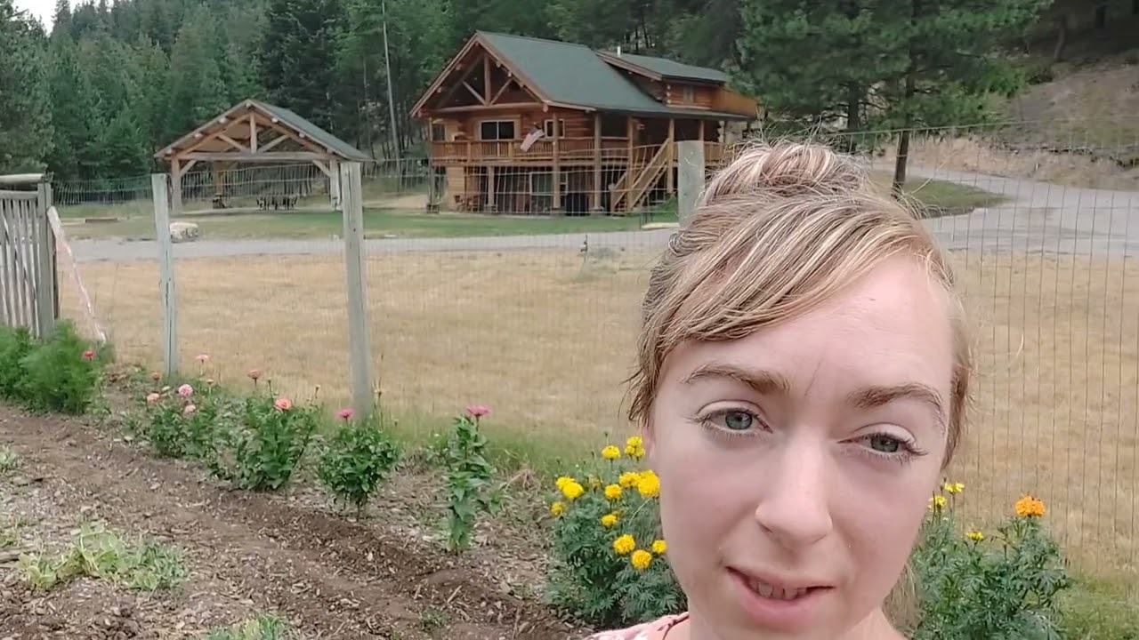 Gardening on our 4 acre Homestead - YouTube