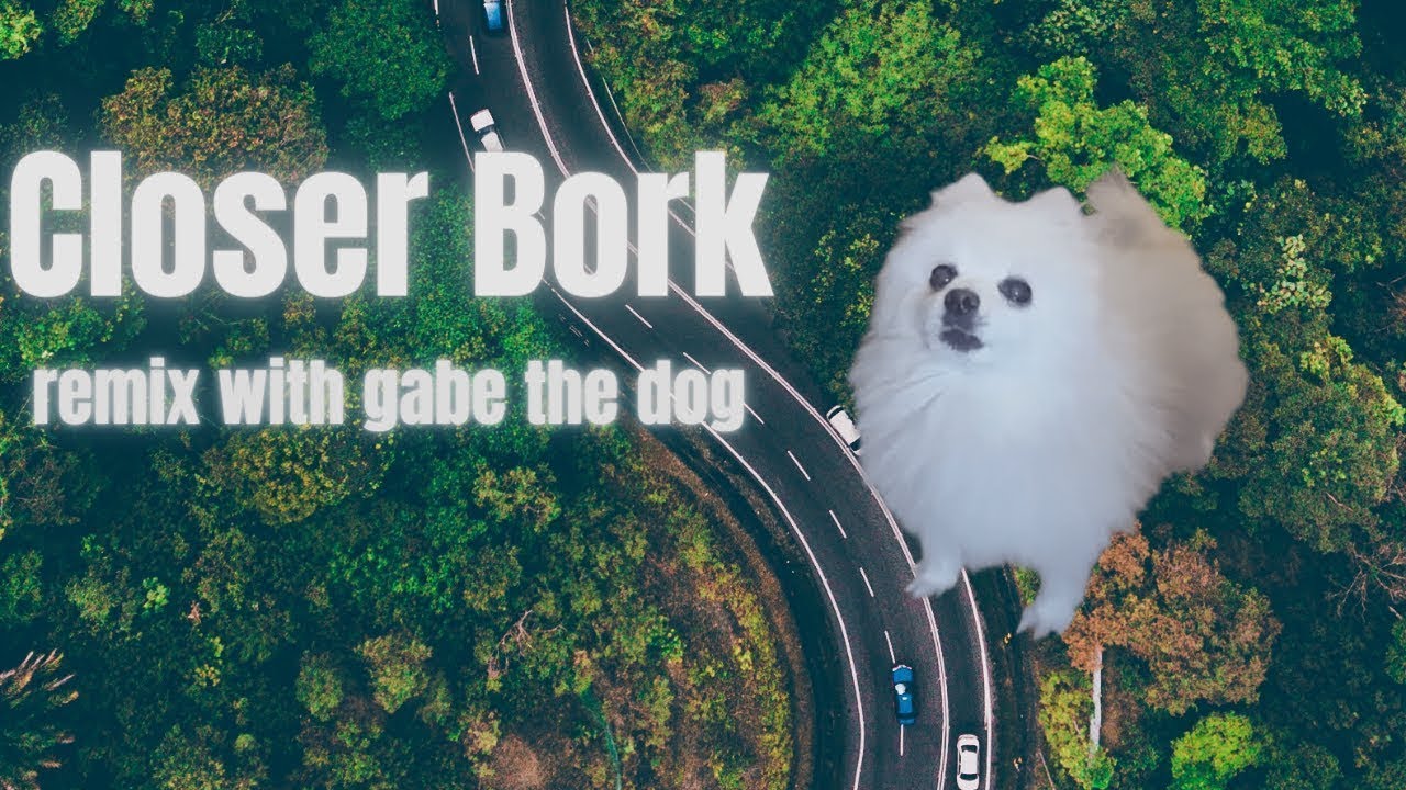 Chainsmokers - Closer Bork | Gabe the Dog Remix - YouTube
