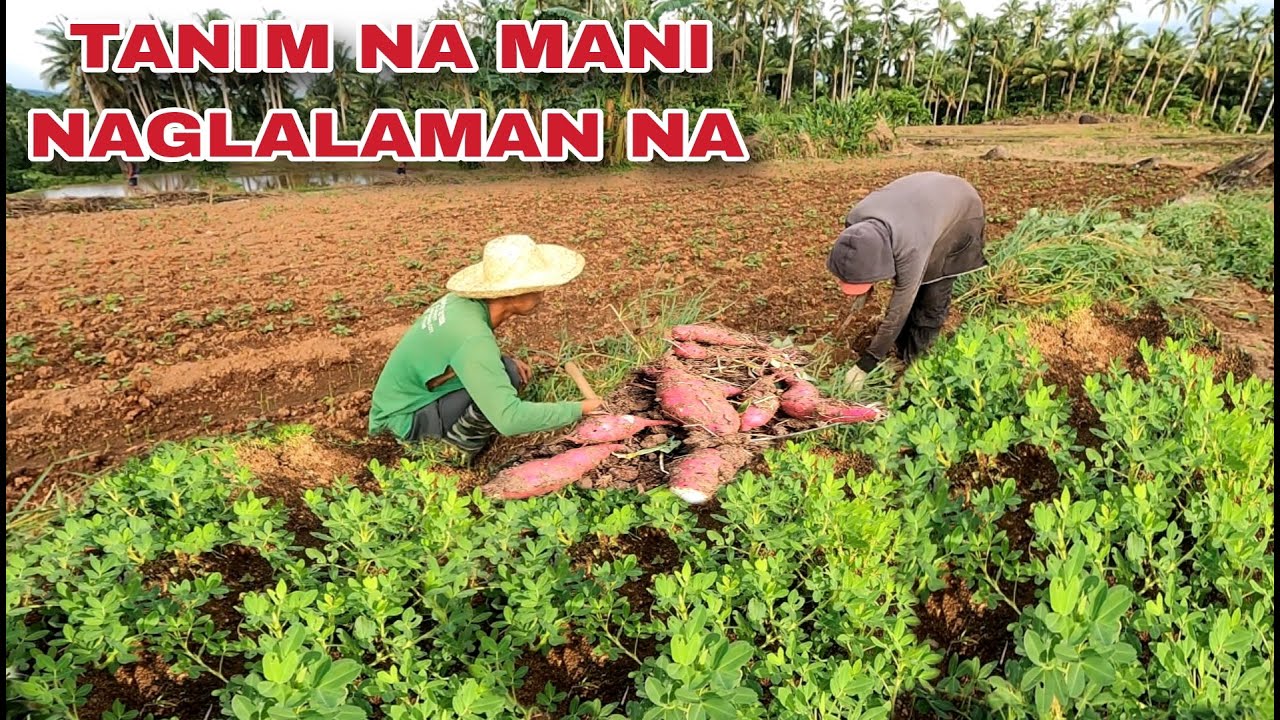 update sa mani subrang dami ng laman - YouTube