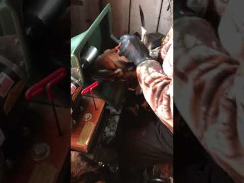 Duck plucking with The Fowl Plucker - YouTube