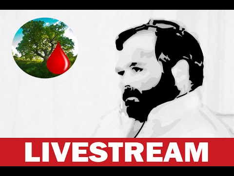 Curt Doolittle FB Livestream, August 30, 2016 - YouTube