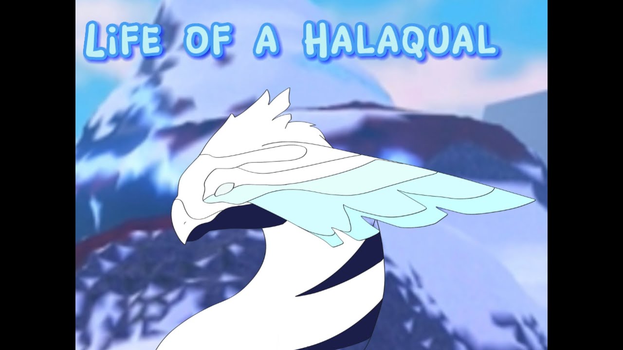 Life of a Halaqual in CoS - YouTube