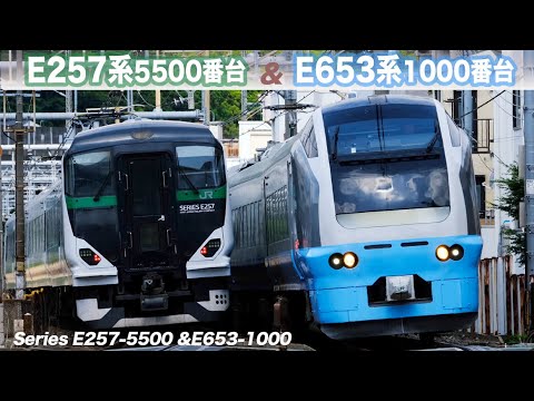 E257系5500番台 & E653系1000番台 並び/ E257-5500 series & E653 5000 series at Oku - YouTube