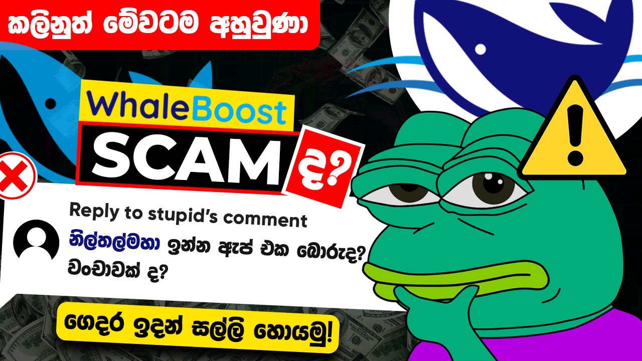 Whaleboost Scam or Legit? | E Money Scam Alert - YouTube